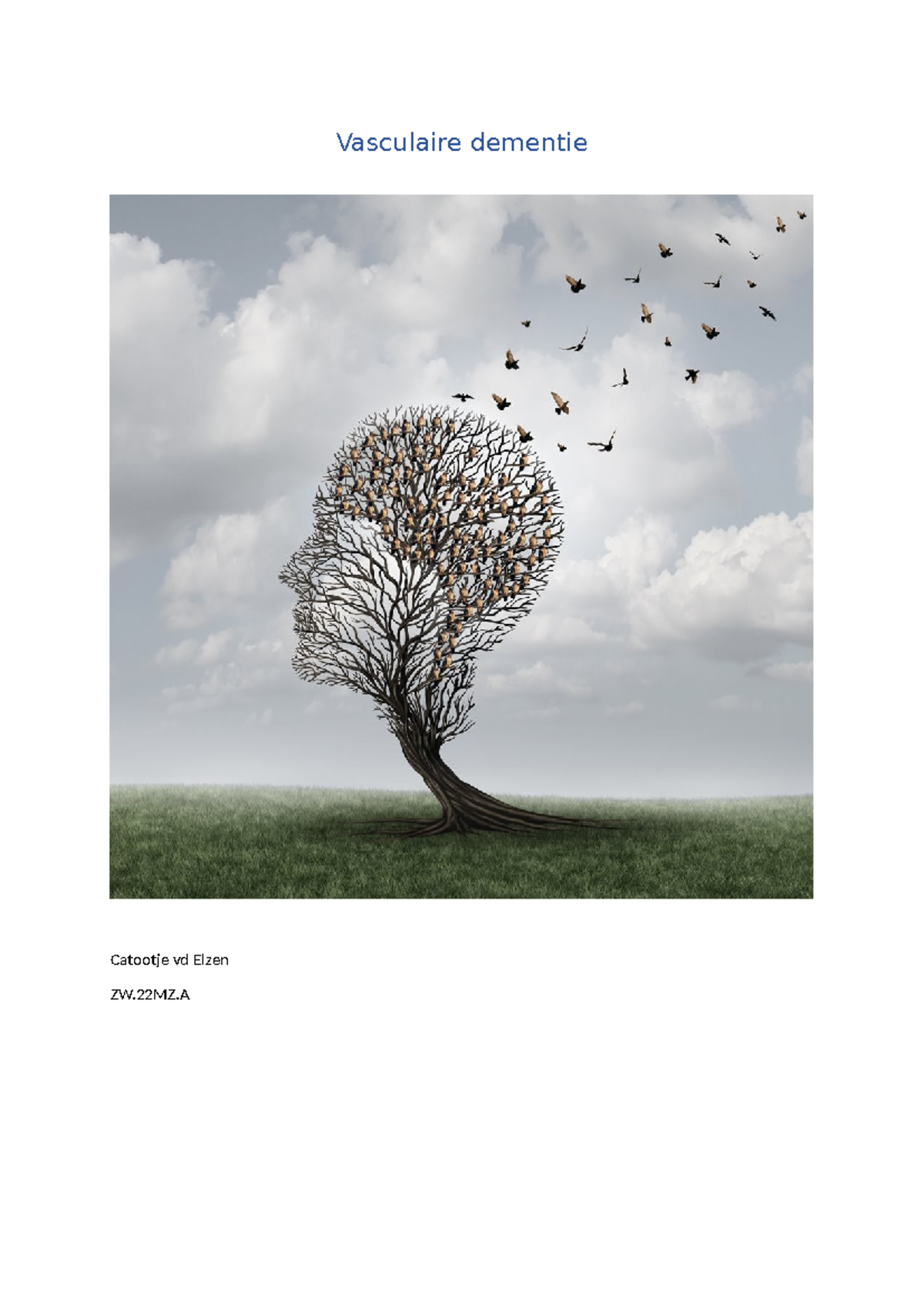 Onderzoek dementie - Vasculaire dementie Catootje vd Elzen ZW.22MZ ...