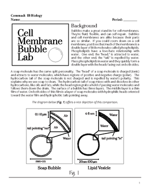 Cell Membrane Bubble Lab - JConn | ClearBiology | 2014 Background ...