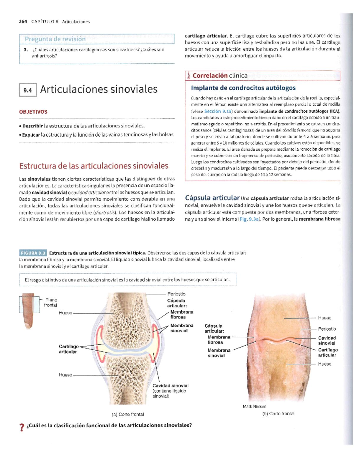 2.2.1 Articulaciones parte 3 - Anatomía - Studocu
