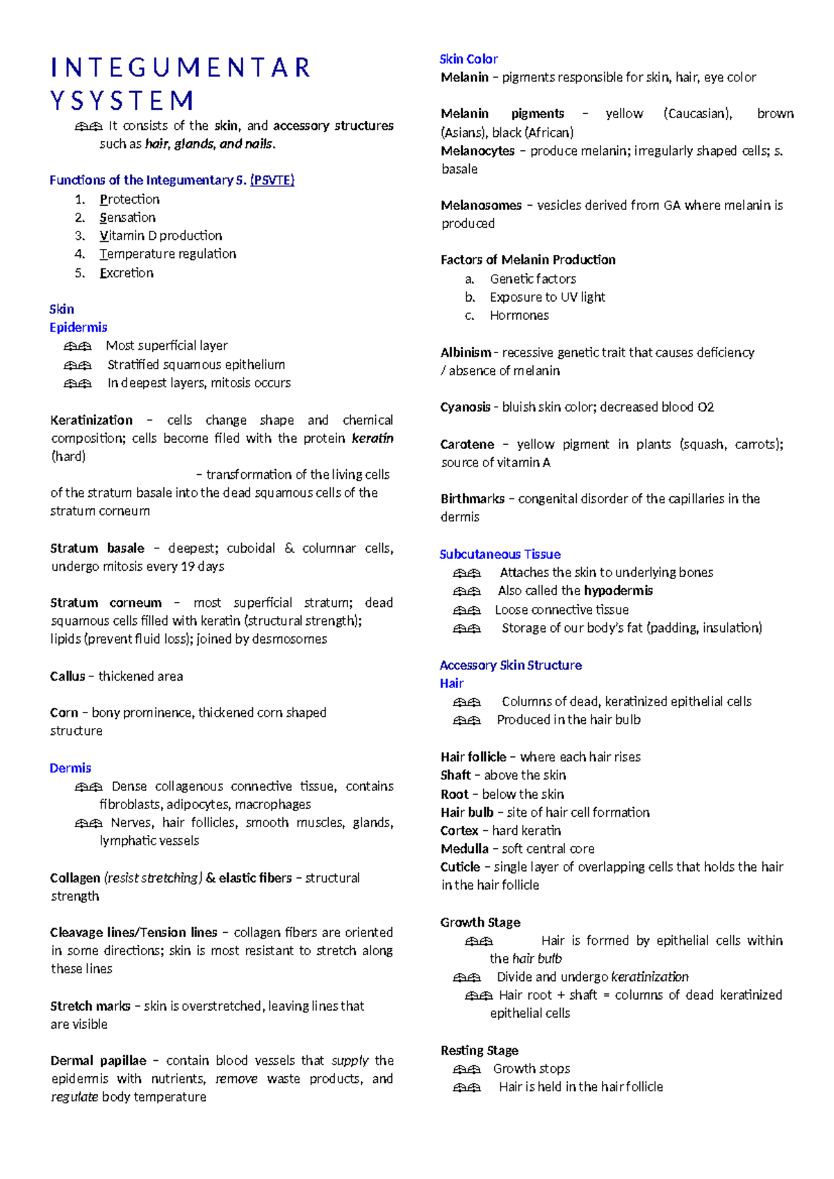 5-Integumentary-System - I N T E G U M E N T A R Y S Y S T E M It ...
