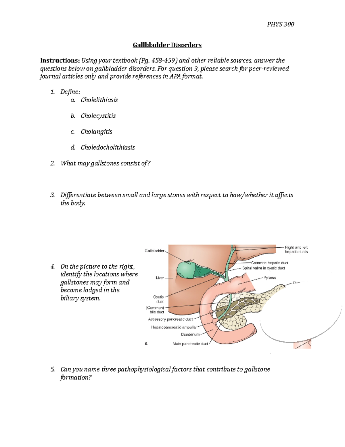 Gallbladder Disorders - PHYS 300 Gallbladder Disorders Instructions ...