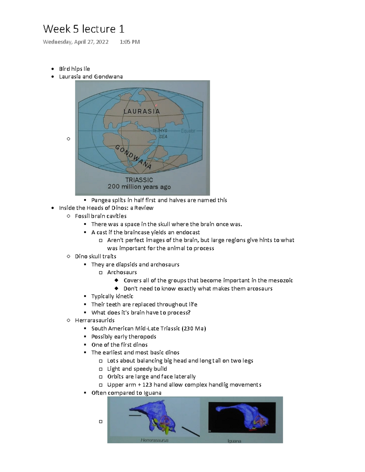 EPS SCI 17 Lecture 9 notes - Bird hips lie Laurasia and Gondwana Pangea ...