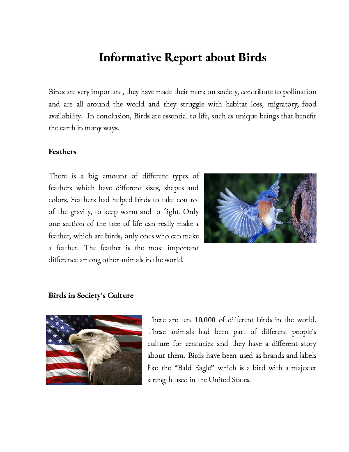 Informative report act 1 - Informative Report about Birds Birds are ...