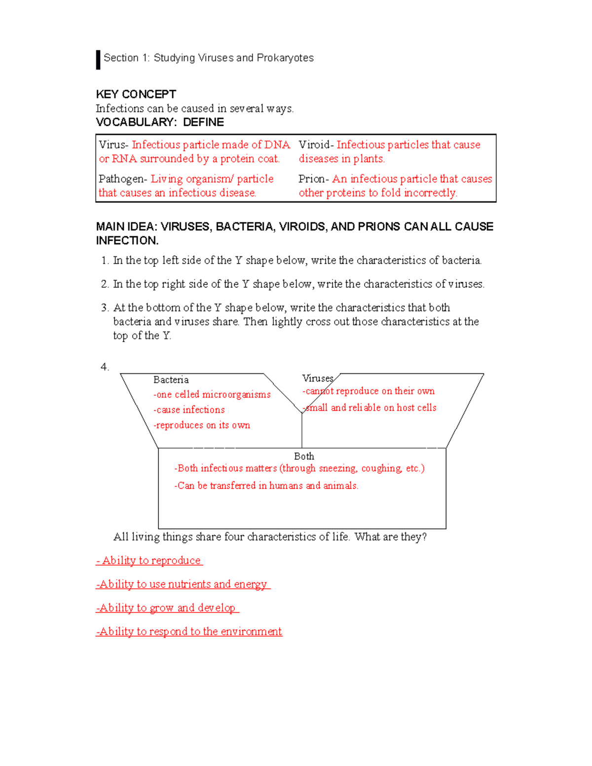 Bacteria and virus review - Bacteria -one celled microorganisms -cause ...