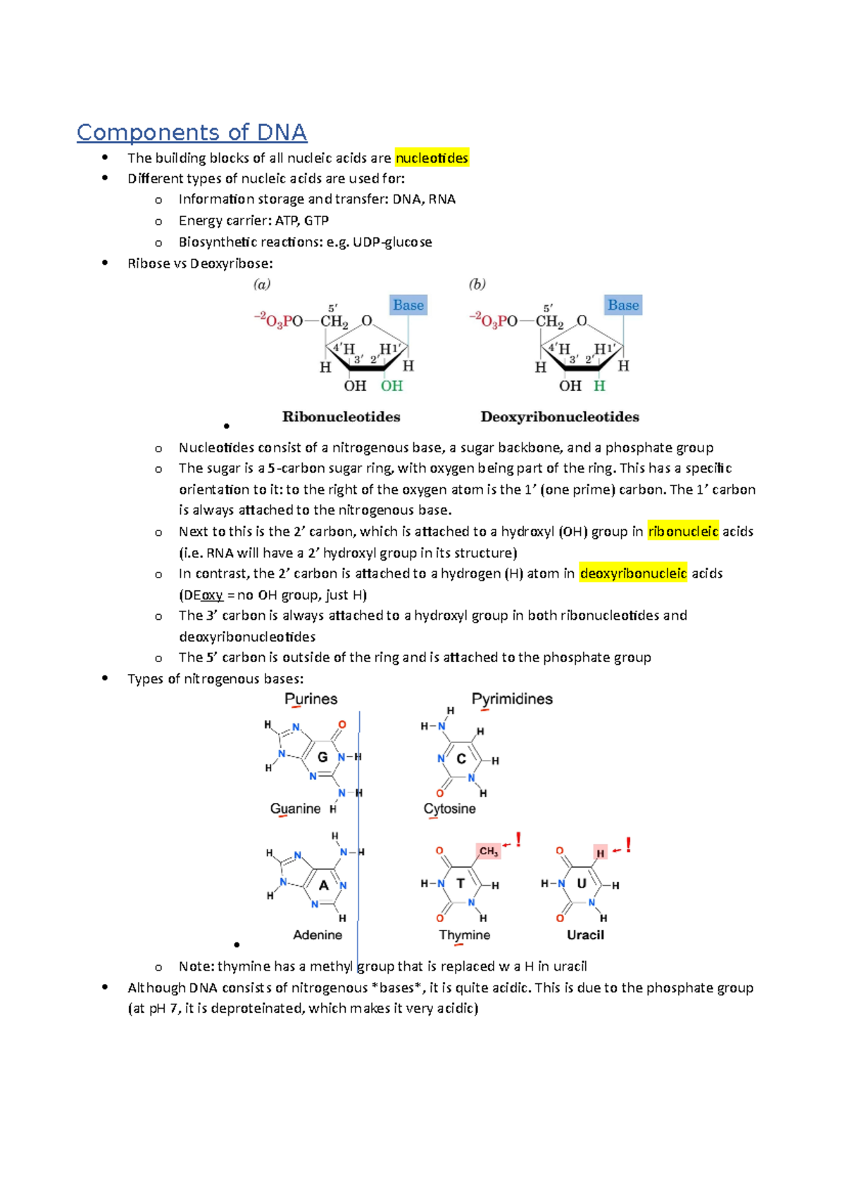 Nucleic acids - Lecture notes 2 - Components of DNA The building blocks ...