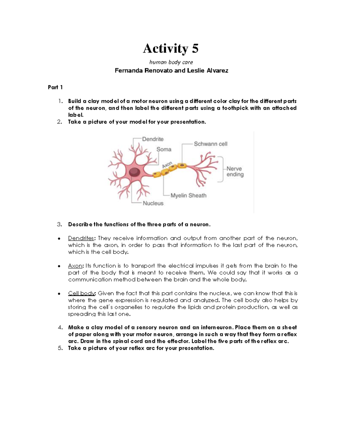Activity 5 - Human body care - Activity 5 human body care Fernanda ...
