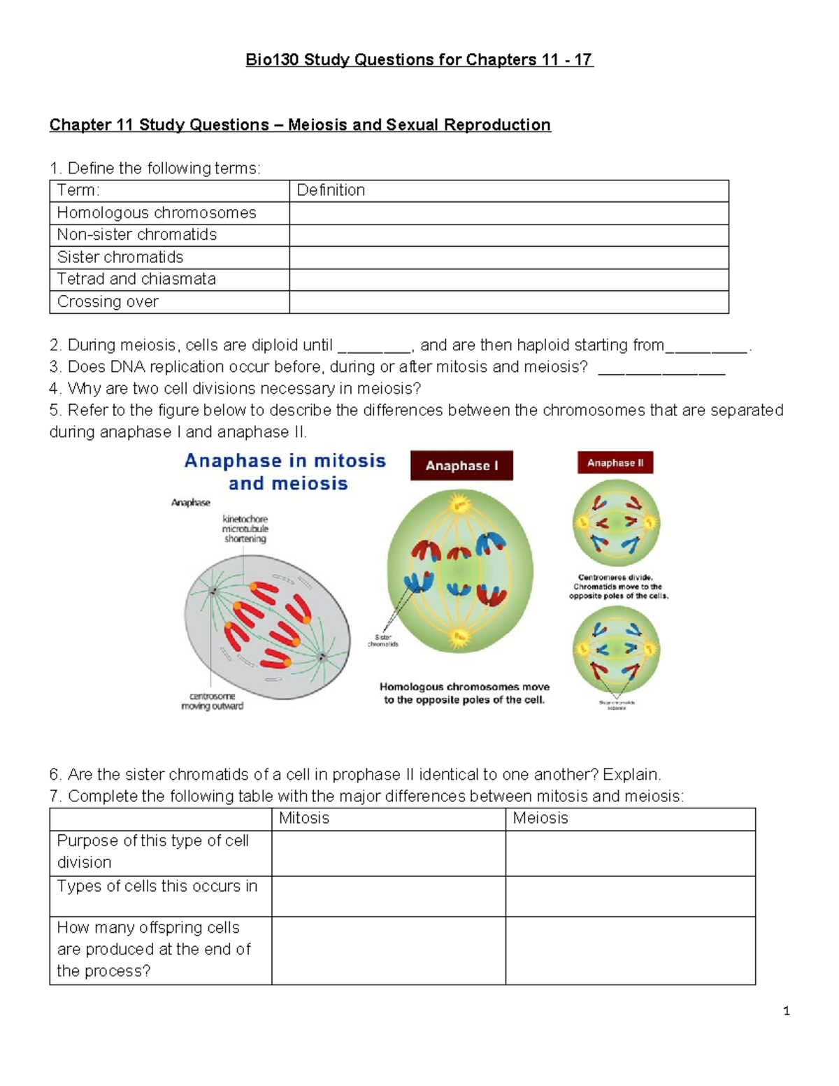 Bio130 Study Questions - Chapters 11 - 17 - Bio130 Study Questions for ...