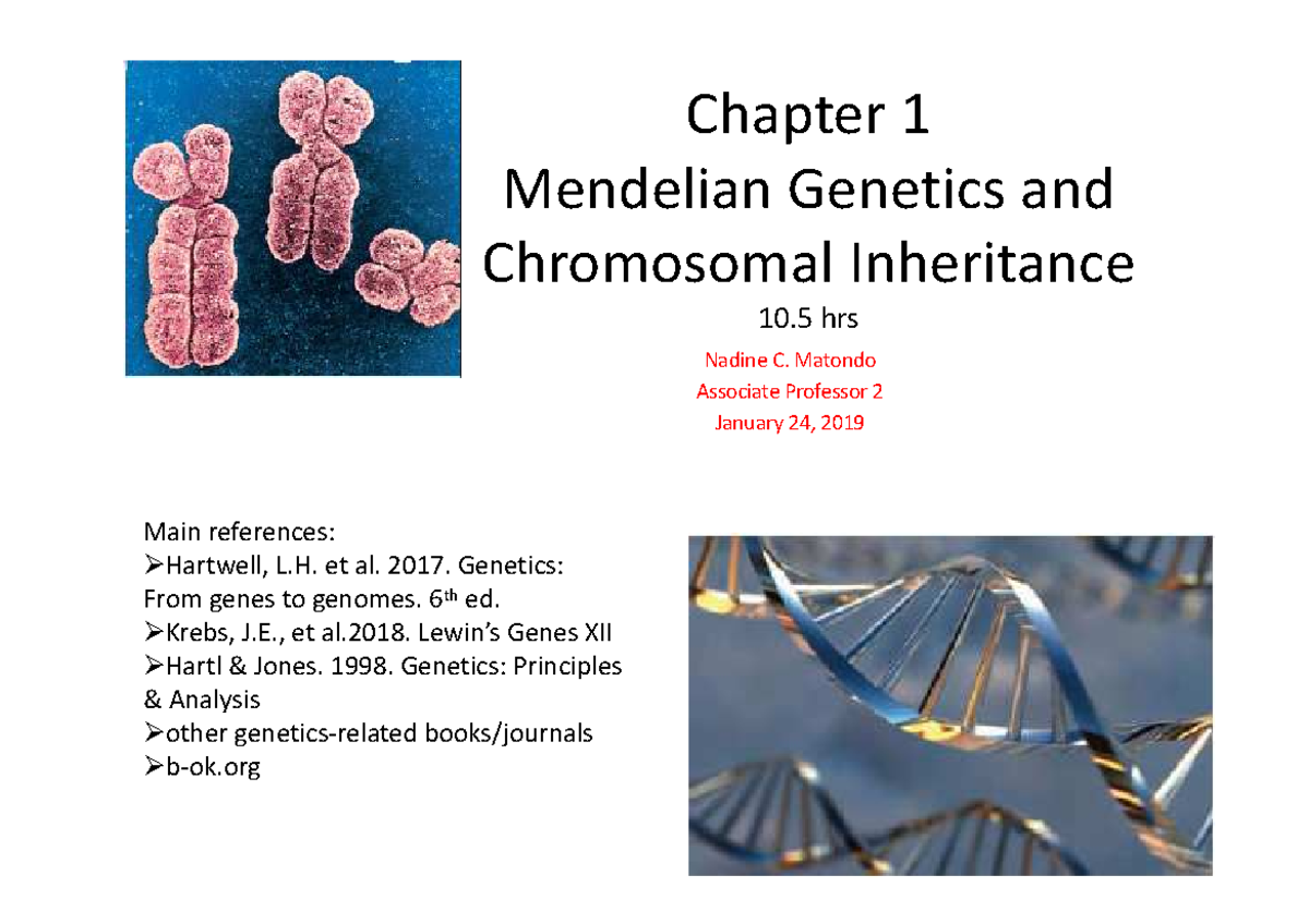 Chapter 1 Mendelian Genetics - Matondo Associate Professor 2 January 24 ...