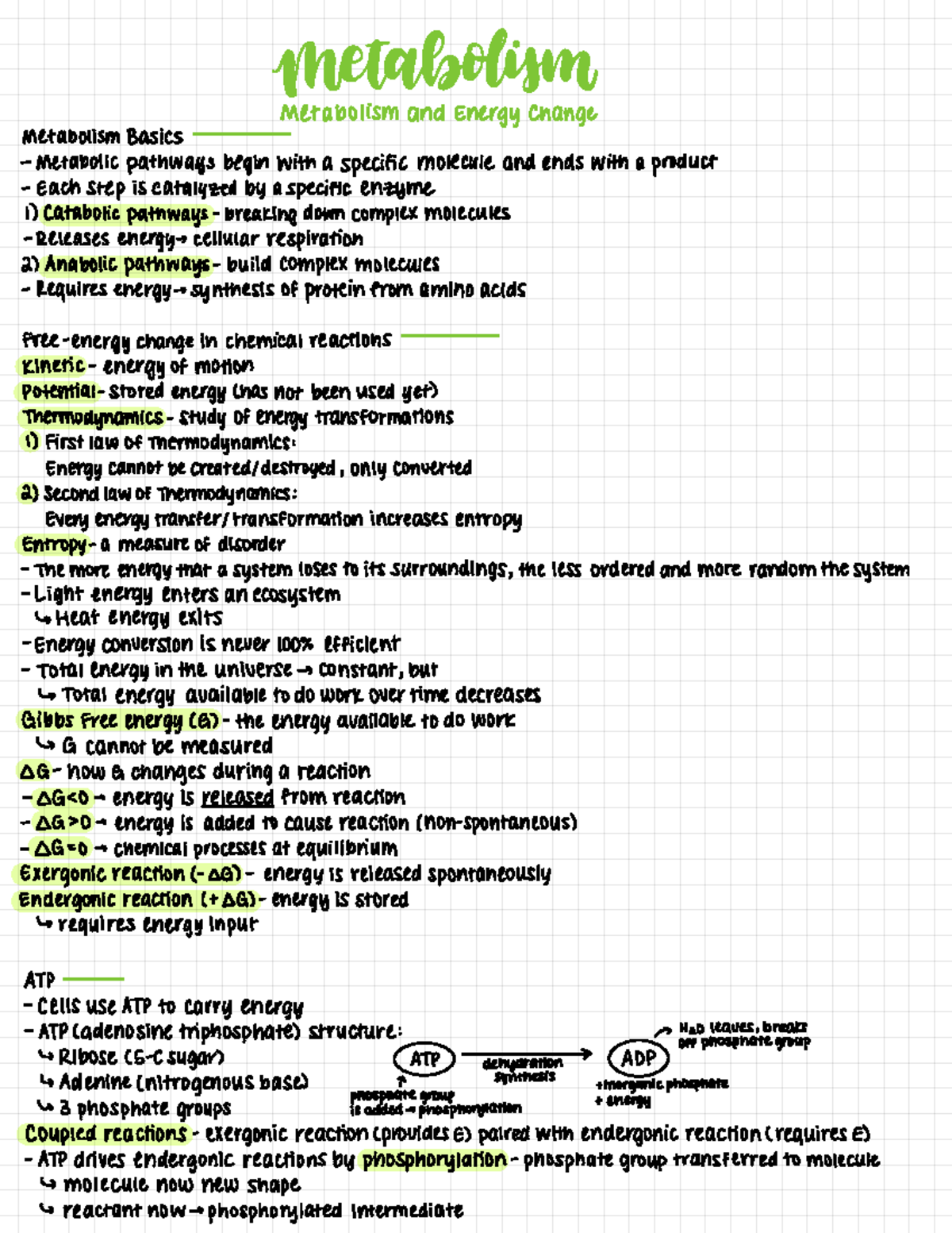 Metabolism Lecture - metabolism Metabolism and Energy Change Metabolism ...