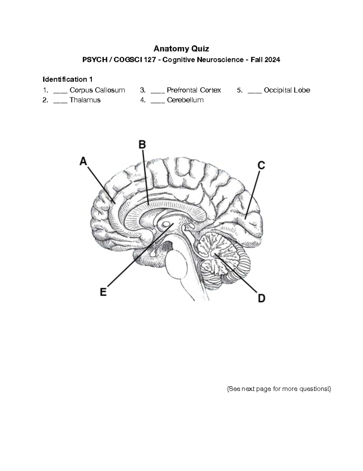 Anatomy Quiz 2024 - Anatomy Quiz PSYCH / COGSCI 127 - Cognitive ...