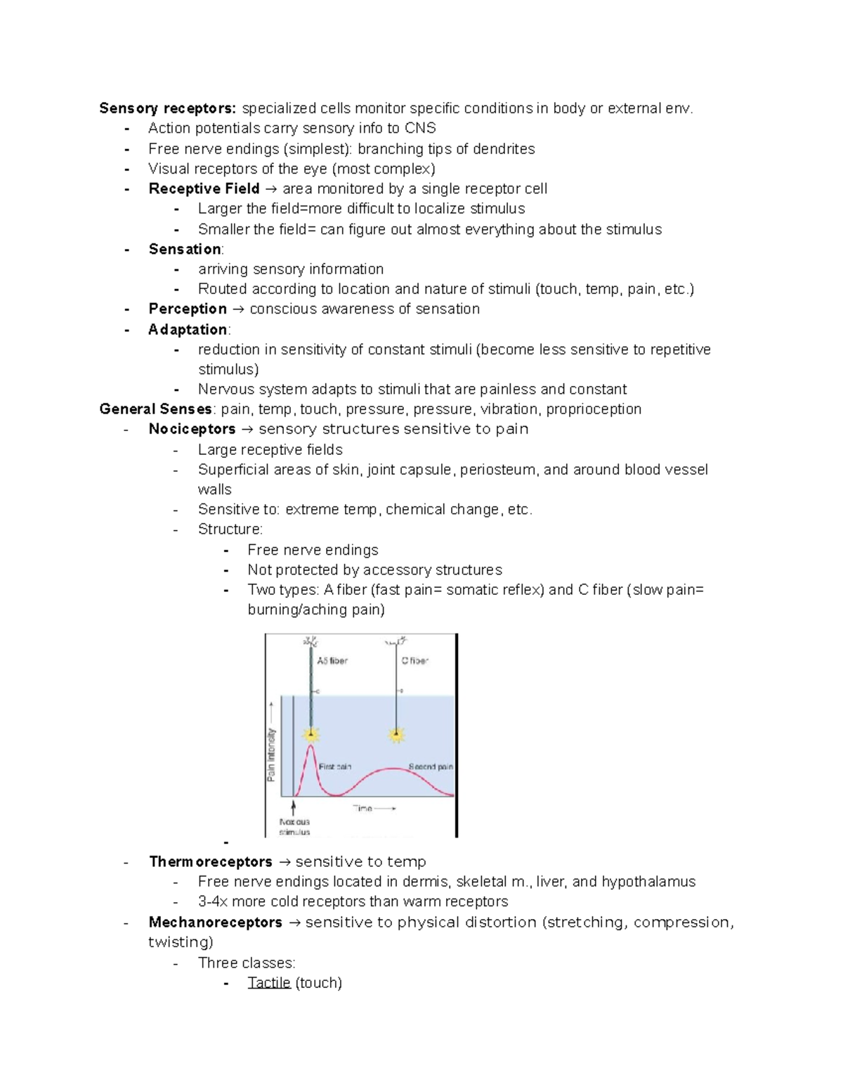 Anatomical Senses Lecture - Sensory receptors: specialized cells ...