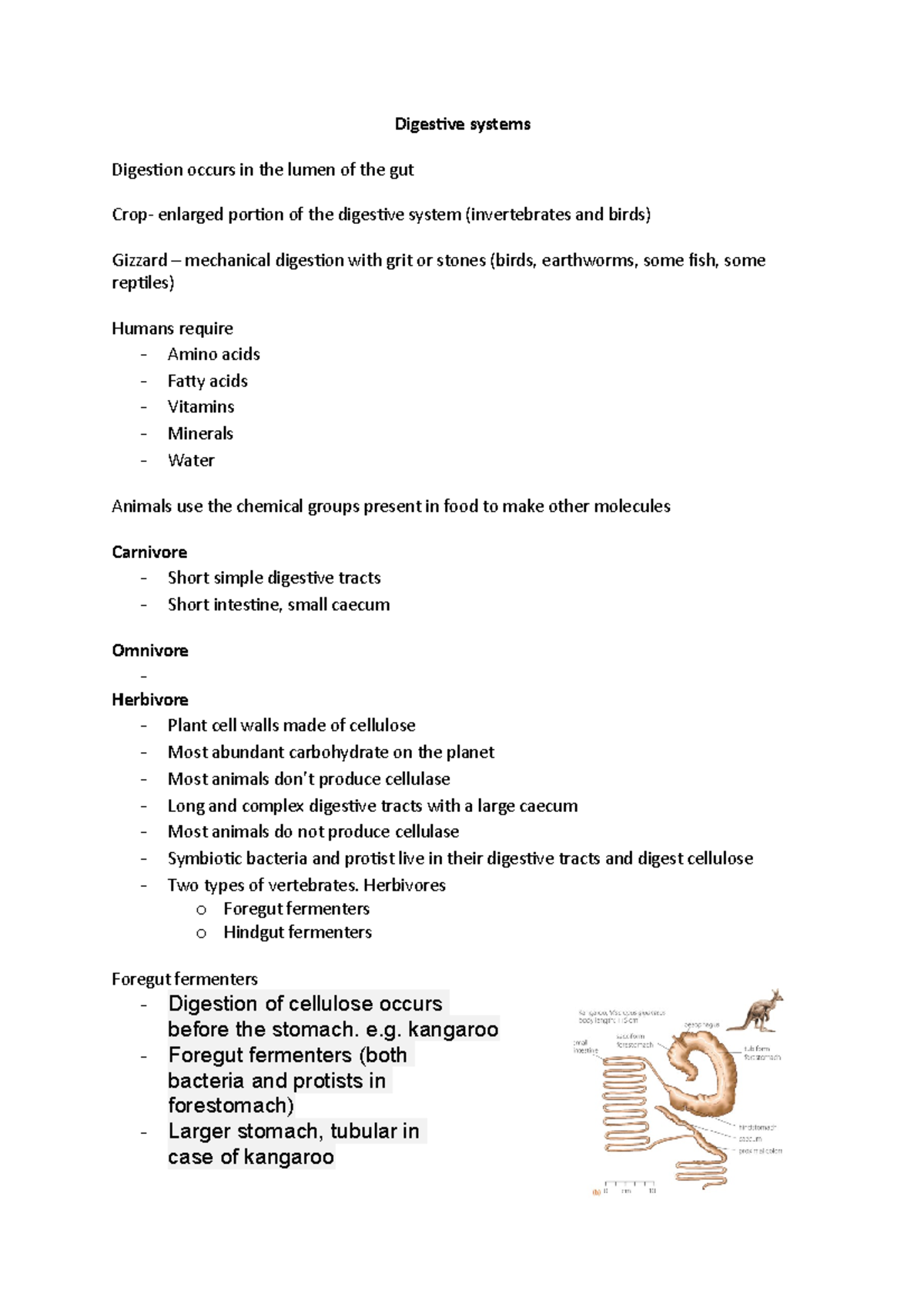 Digestive systems - Lecture note - Digestive systems Digestion occurs ...