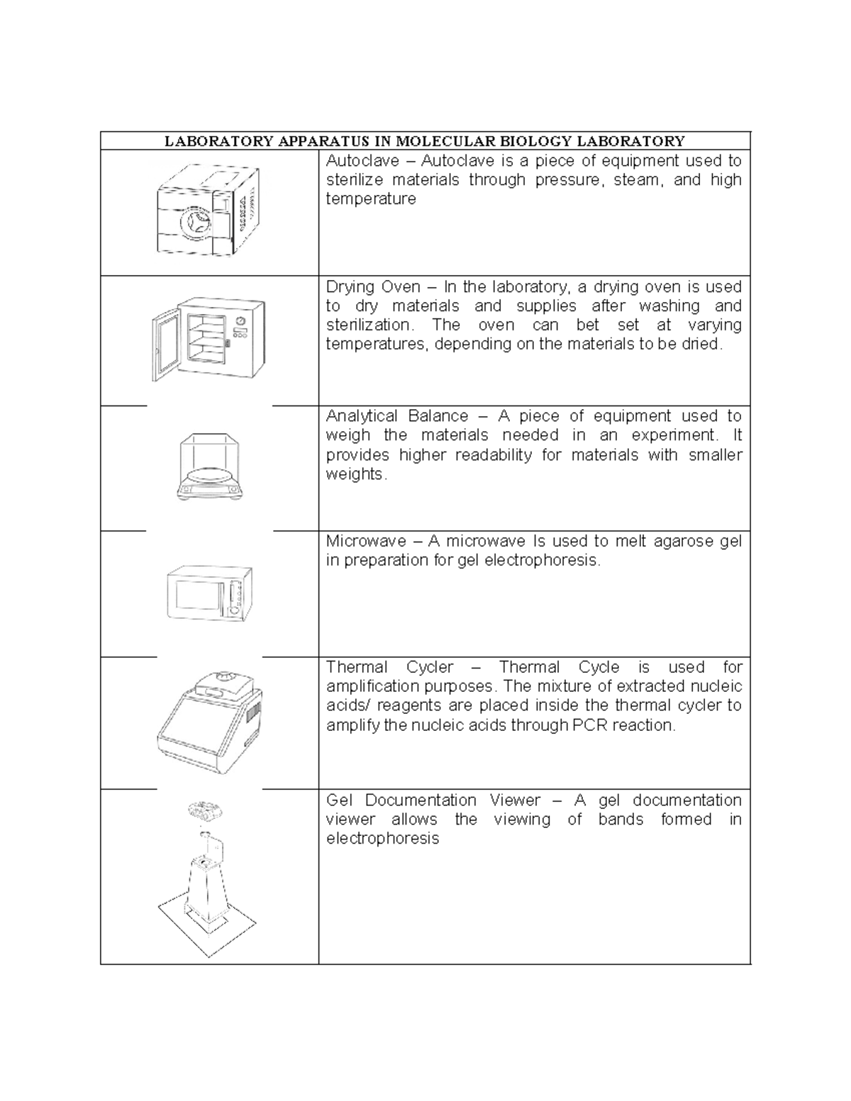 MOL BIO ACT - 2 - LABORATORY APPARATUS IN MOLECULAR BIOLOGY LABORATORY ...
