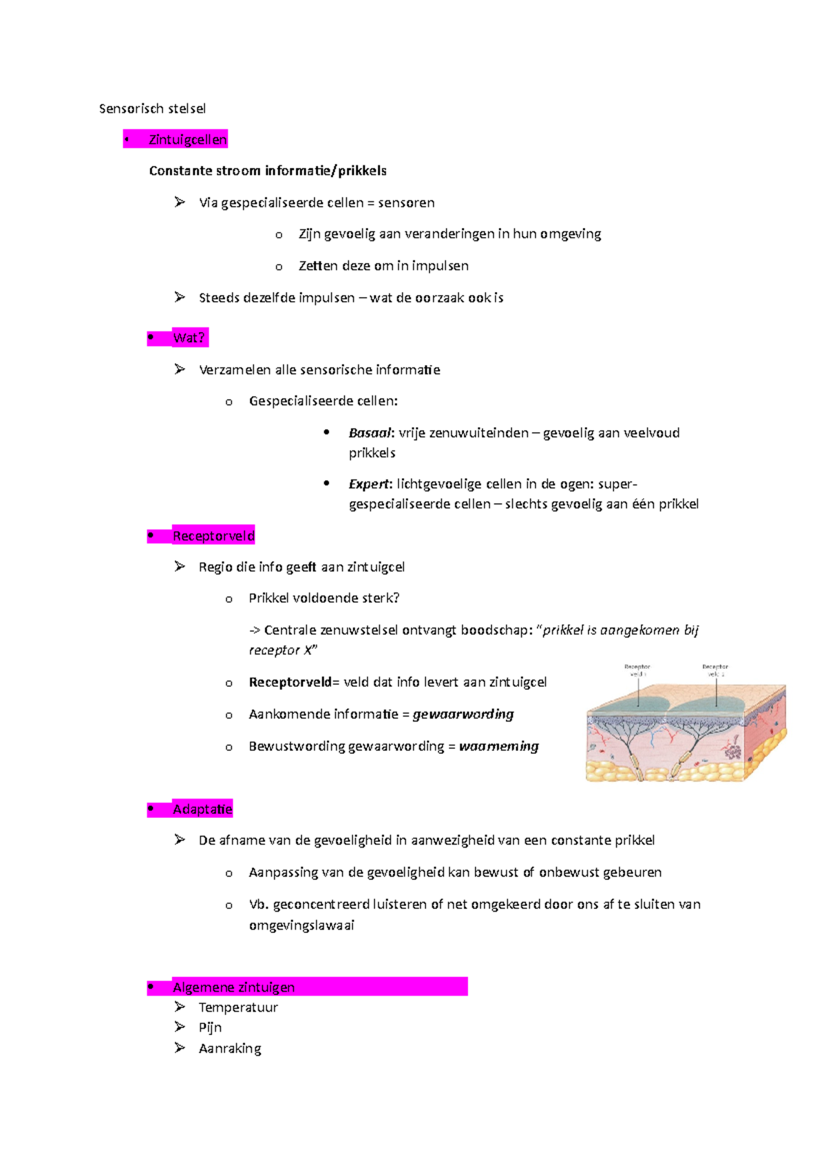 Sensorisch stelsel - Sensorisch stelsel Zintuigcellen Constante stroom ...