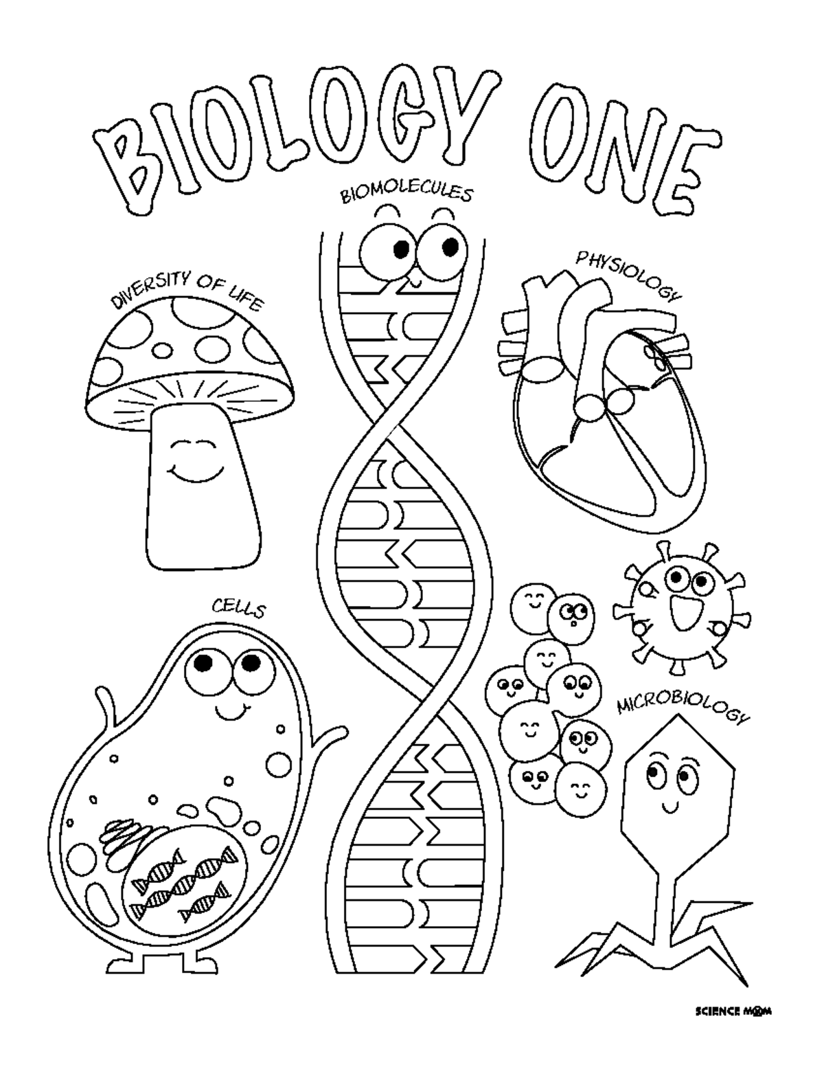 Biology Notes Outline - B I O L OGY O N E D i v e r s i t y ofl if e B ...