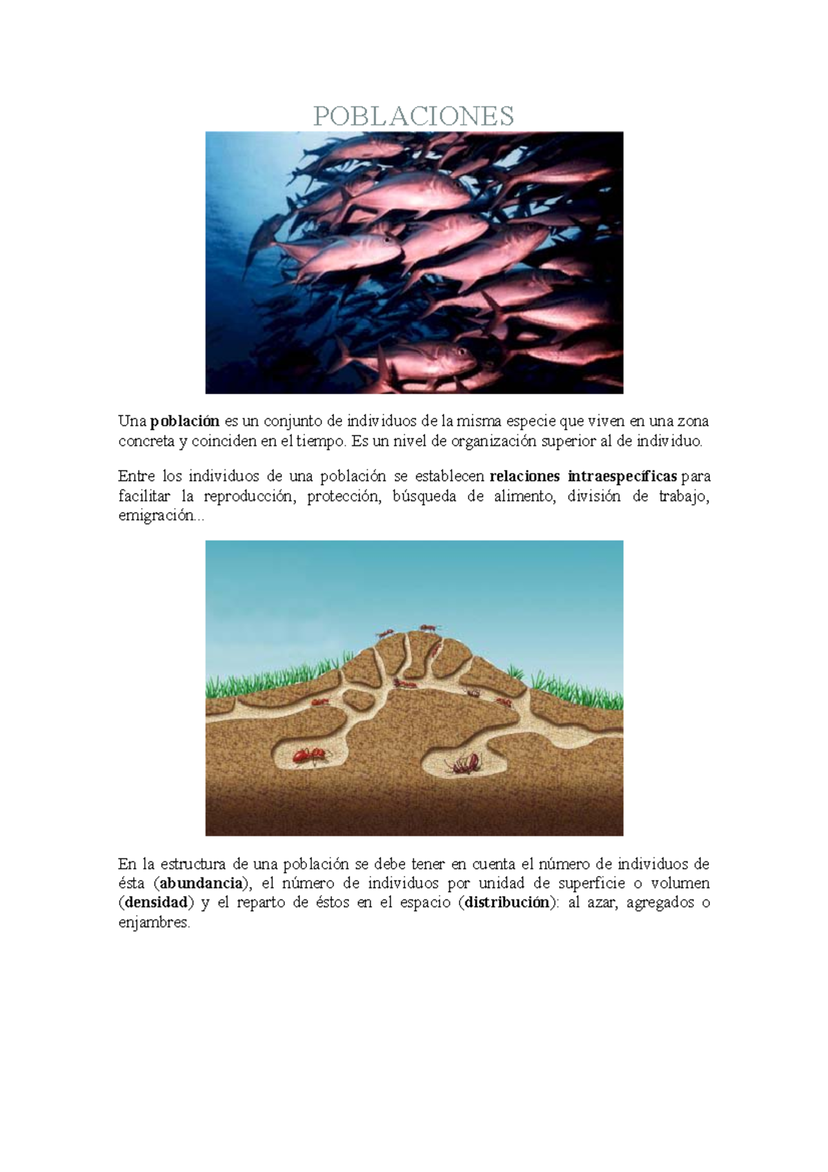 Poblaciones - POBLACIONES Una población es un conjunto de individuos de ...