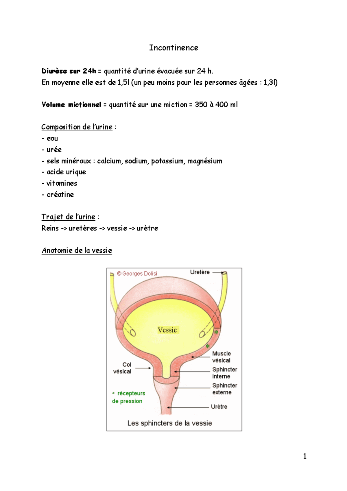 Incontinence - Bilogier - 1 Incontinence Diurèse sur 24h = quantité d ...