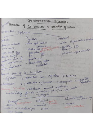 Endocrine pancreas- Insulin and glucagon - Physiology - Studocu