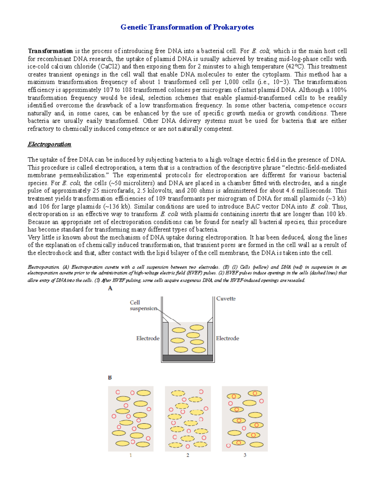 07 Genetic Transformation & Electroporation - Genetic Transformation of ...
