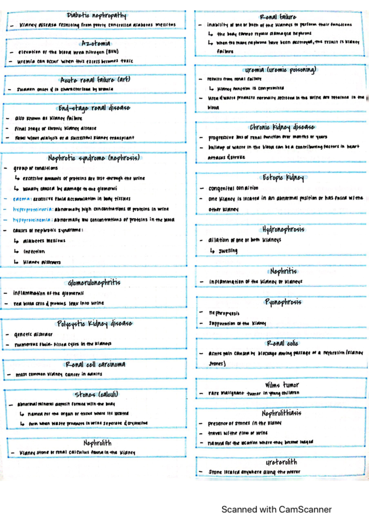 Chapter 9: the urinary system - HIMT 1301 - Studocu