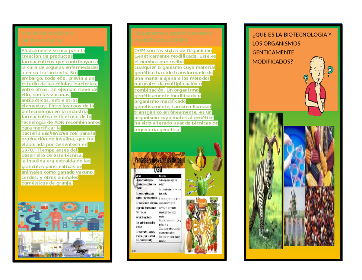 Integradora Triptico NM17 - ¿QUE ES LA BIOTECNOLOGIA Y LOS ORGANISMOS ...