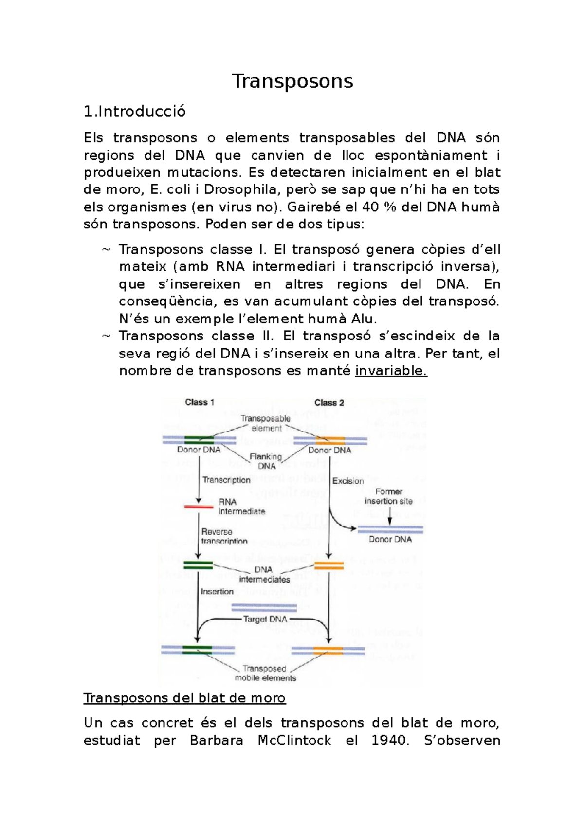 9.Transposons tema completo - Transposons 1ó Els transposons o elements transposables del DNA ...