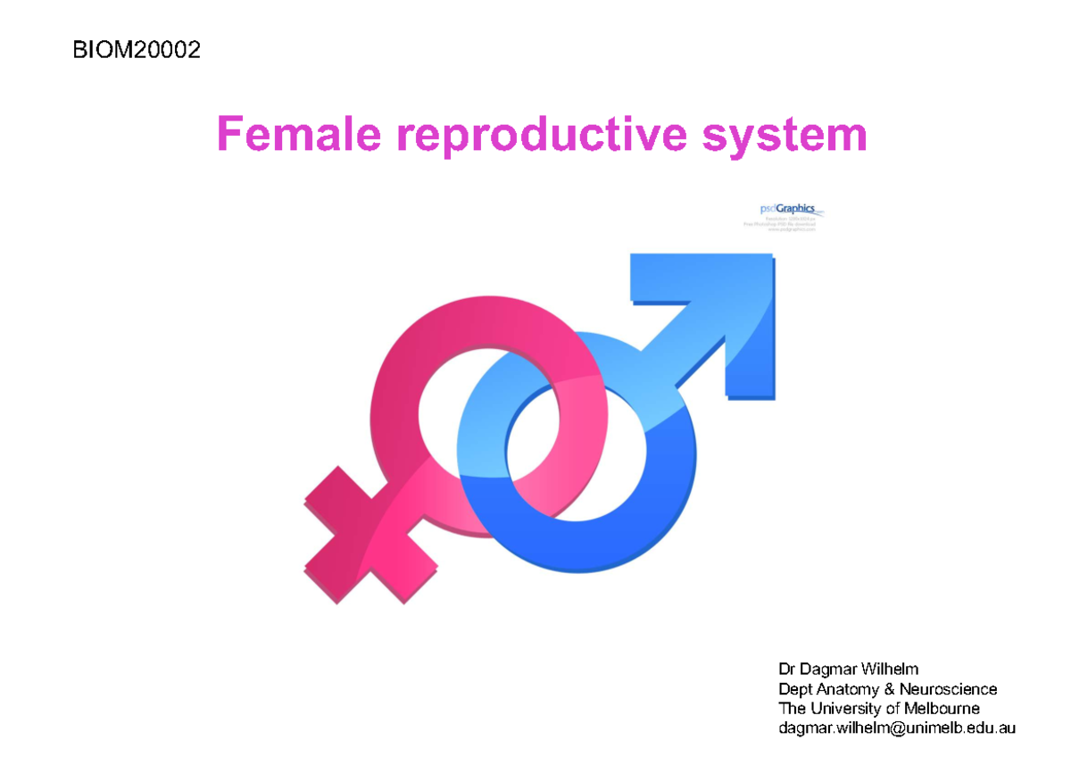 [HSF] LCT50 - Lecture notes 12 - BIOM20002' Female&reproductive&system ...