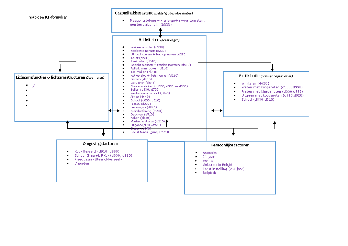 Voorbeeld van een gevulde ICF document - Sjabloon ICF-formulier ...