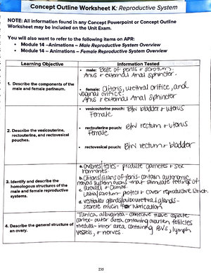 Ch. 6 Terminology - Chapter 6 -Orthopedics - Combining Forms Combining ...