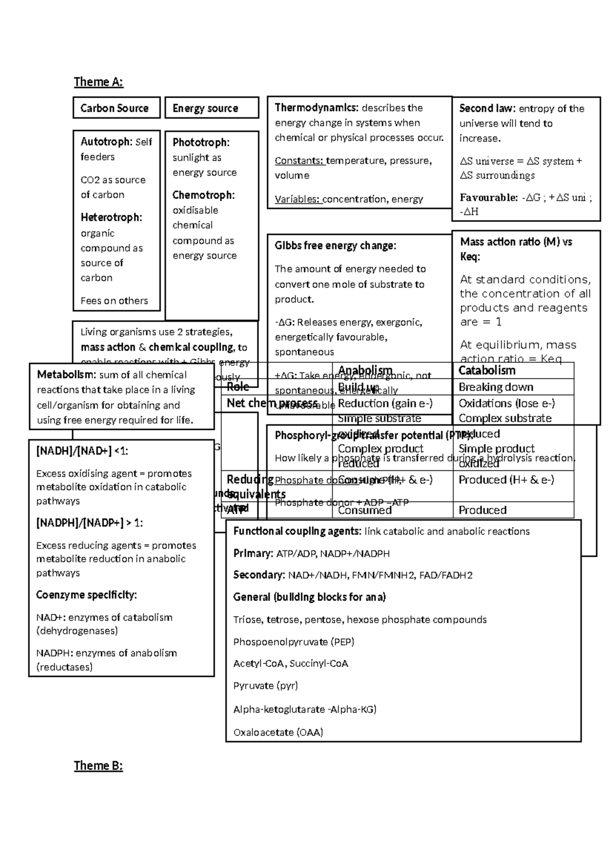 A1 notes - Summary Biochemistry - Theme A: Theme B: Carbon Source ...
