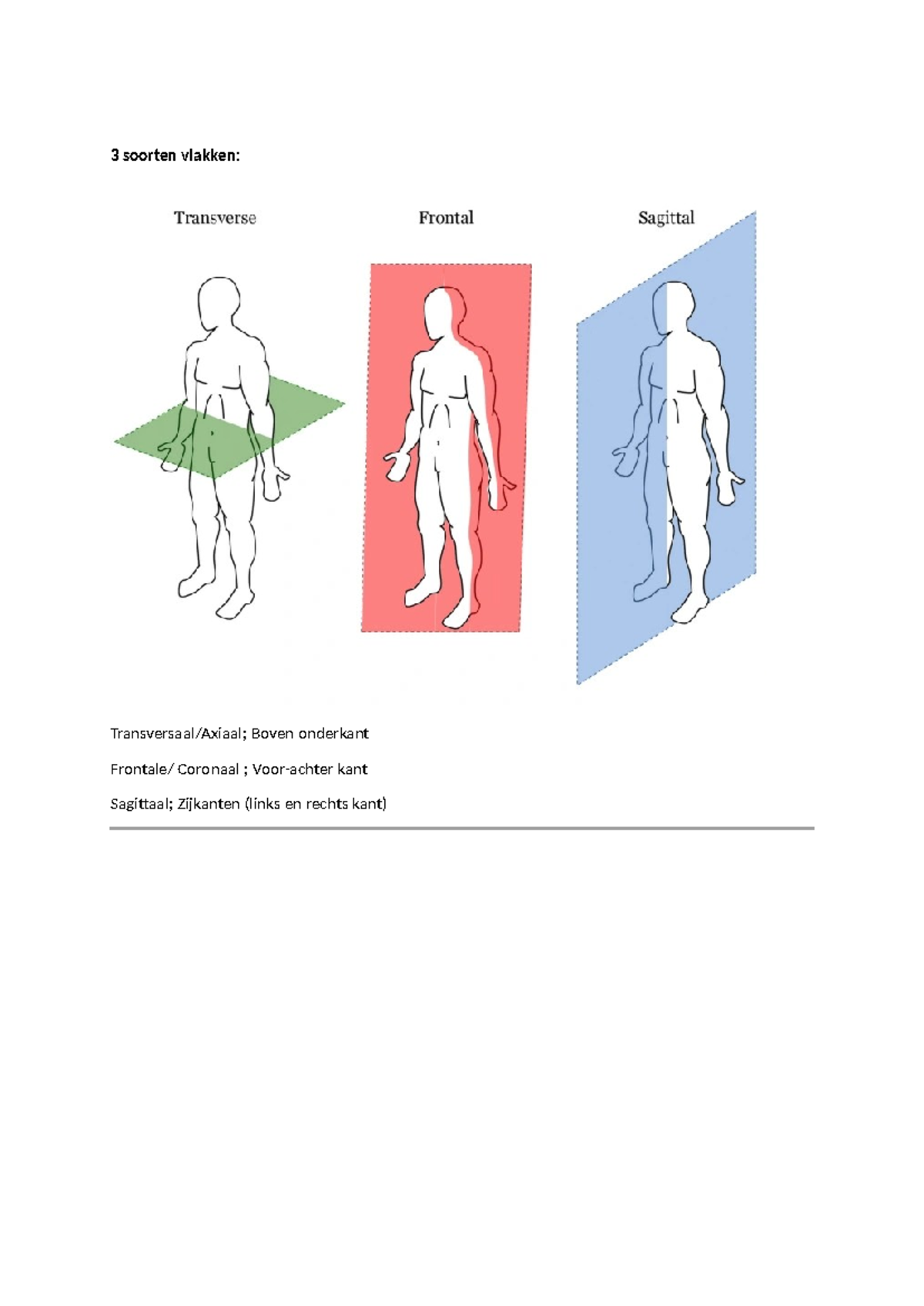 Anatomie - Vlakken & Assen basis - Anatomie en fysiologie - 3 soorten ...