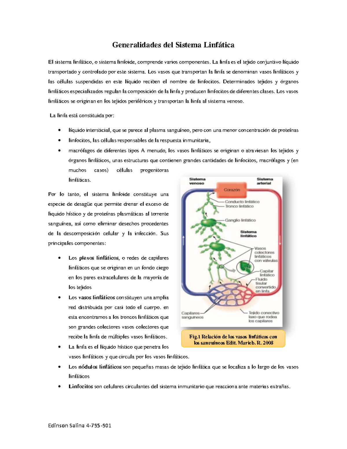 Sistema Nervioso - Warning: TT: undefined function: 32 Generalidades del Sistema Linfática El ...