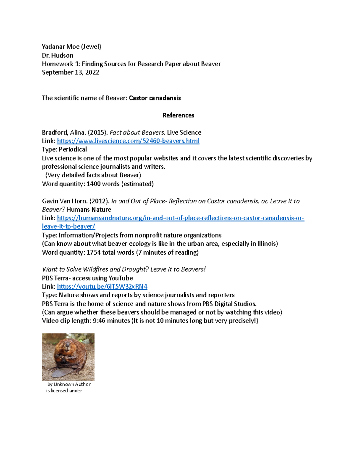 Yadanar Moe Research Paper Sources - Yadanar Moe (Jewel) Dr. Hudson ...