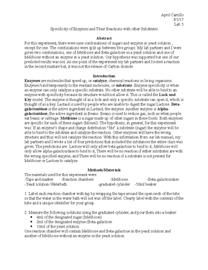 Lab 4: The effects of yeast enzyme metabolic reaction rates at ...