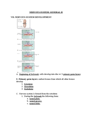 BIO225-3.respiratory - RESPIRATORY SYSTEM I. Basic structure A ...
