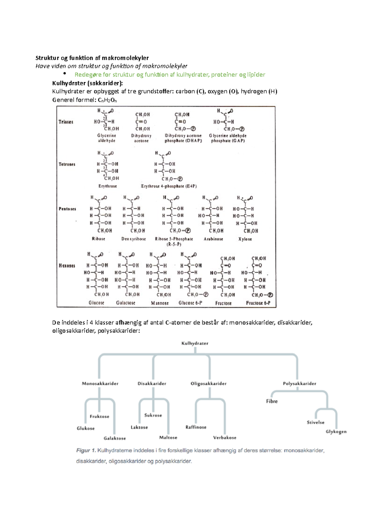 Struktur og funktion af makromolekyler - Sukker Laktose: mælkesukker Oligosakkarid: består af 3 ...