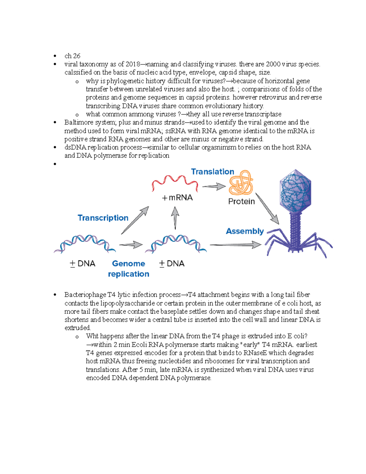 Ch 26 viral classification - ch 26 viral taxonomy as of 2018→naming and ...