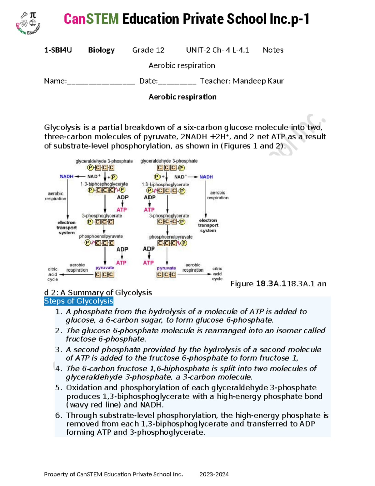 2-4-L-4.2(5) Notes - biology - 1-SBI4U Biology Grade 12 UNIT-2 Ch- 4 L ...