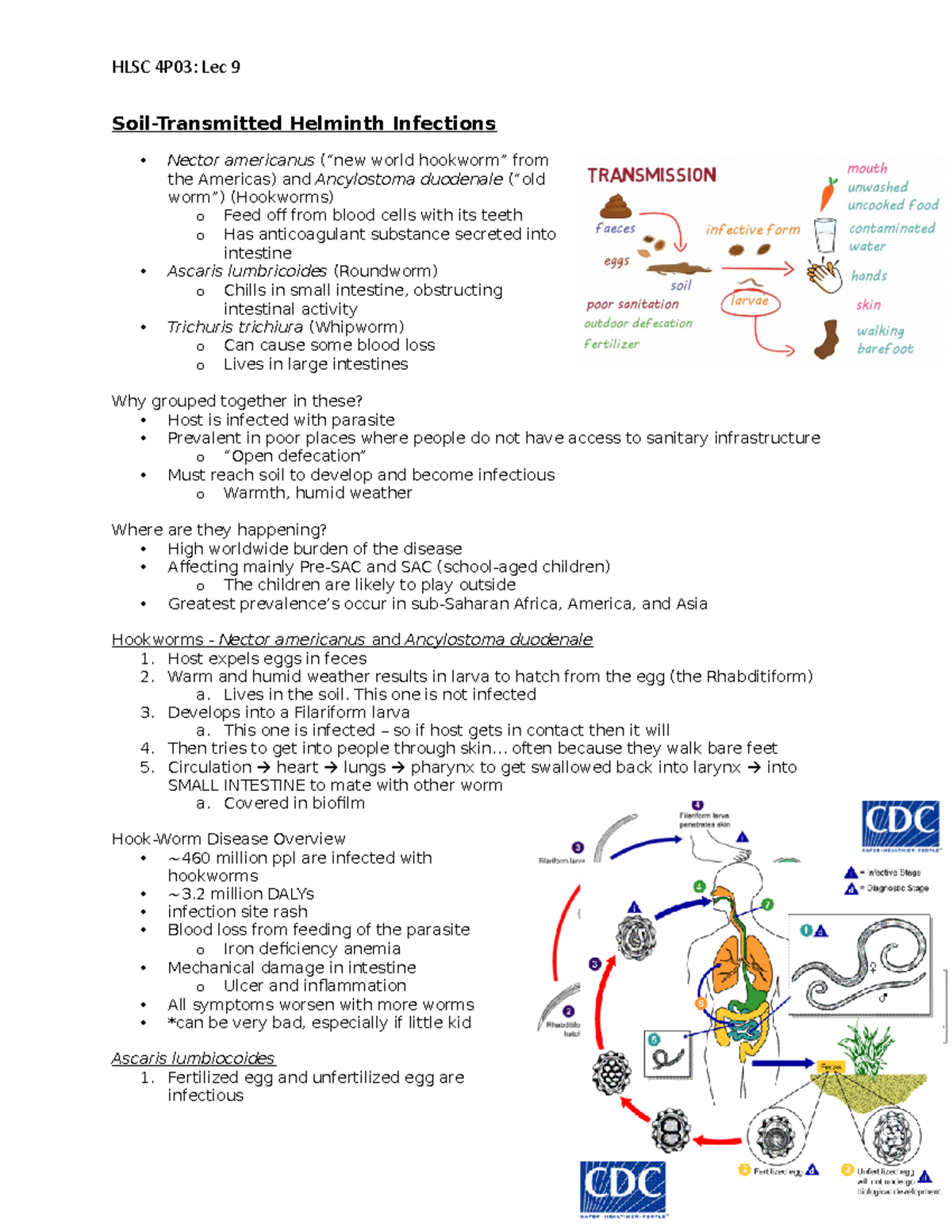 Lecture 9 Soil-Transmitted Helminth Infections, One Health, and ...
