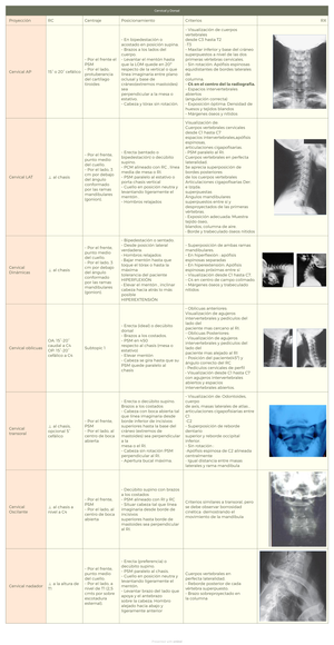 RX Pelvis - Cintura pelviana: Pelvis: - Segmento postero-anterior del ...