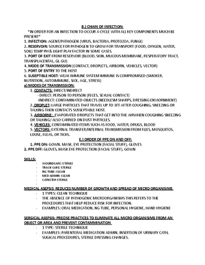 Practice B REM - notes - ACTIVE LEARNING TEMPLATES THERAPEUTIC ...