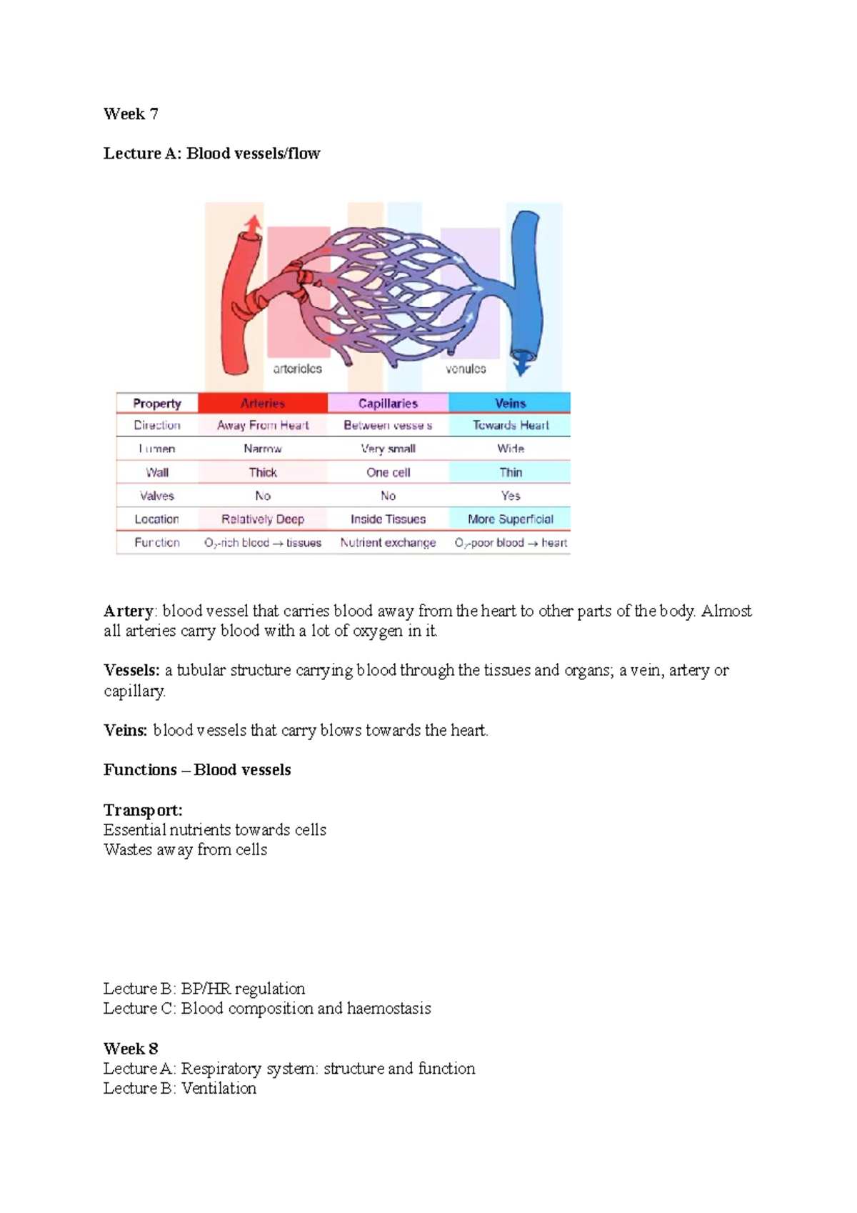 Biol121 - Notes - Week 7 Lecture A: Blood vessels/flow Artery: blood ...