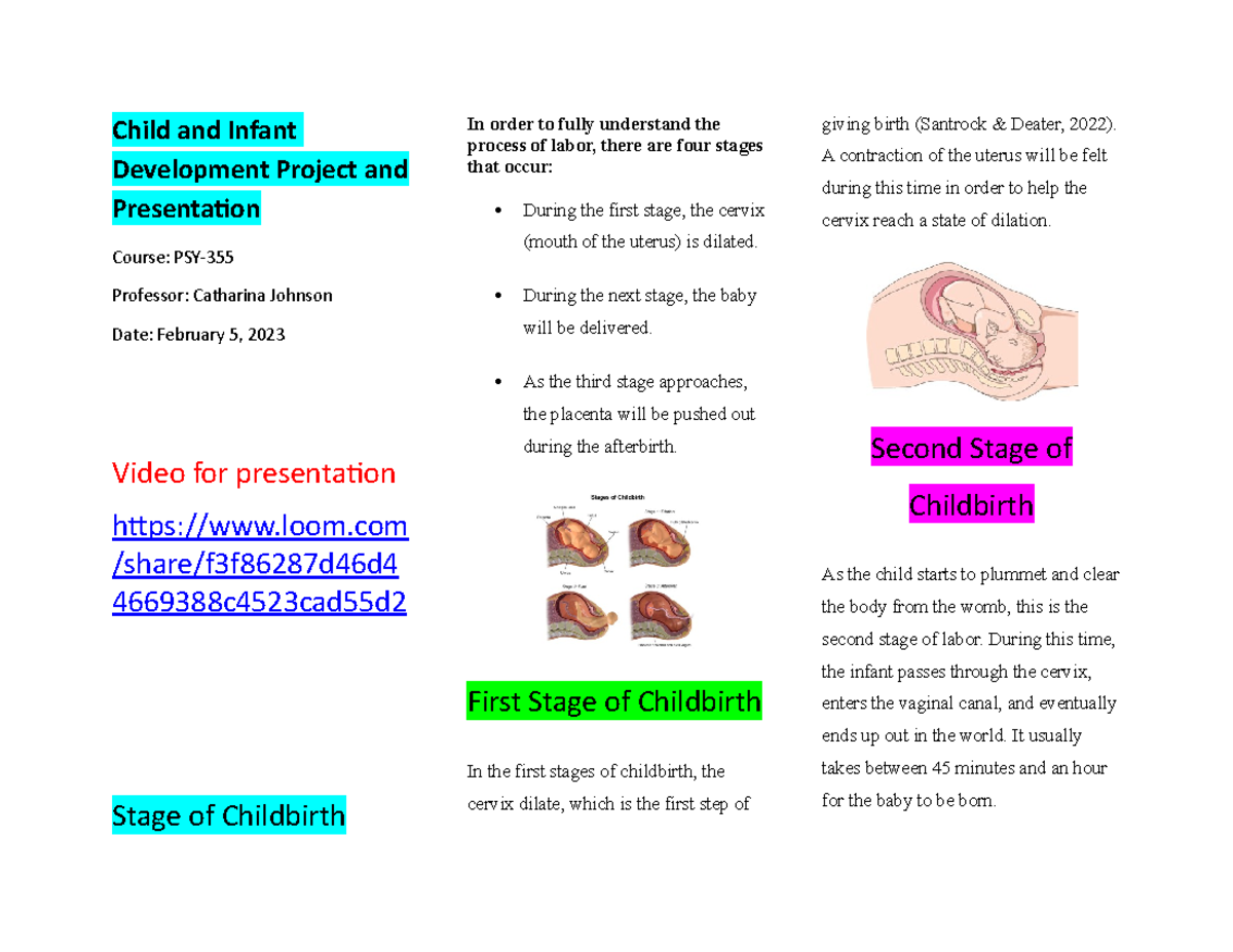 Child and Infant Development Project and Presentation - Child and ...