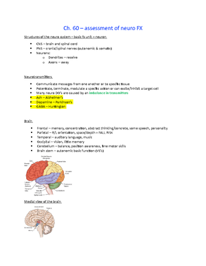 Practice B - ati remediation - Individual Performance Profile RN Adult ...