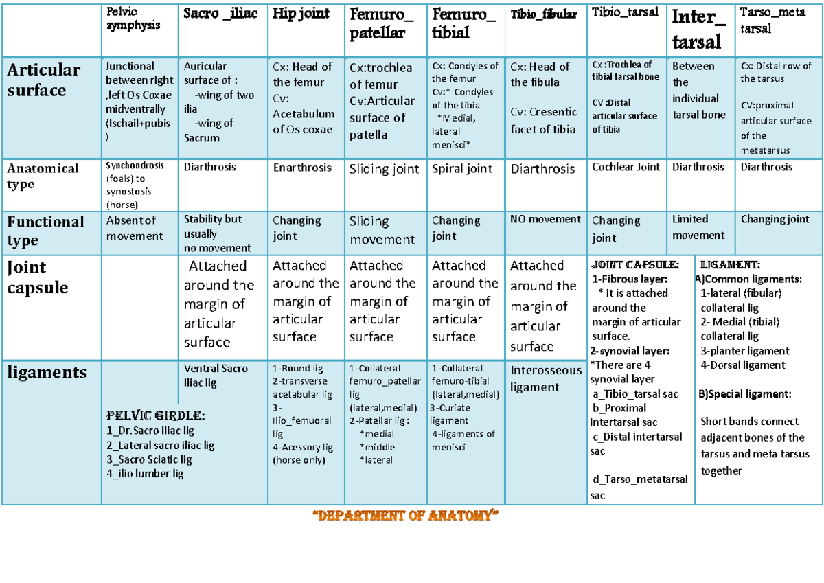 Limb Table in Arthology for the first academic year first term - Pelvic ...