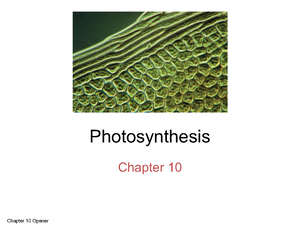 BIOL 141 Unit 1 Study Guide - Biology 141 Study Questions Chapter 1 ...