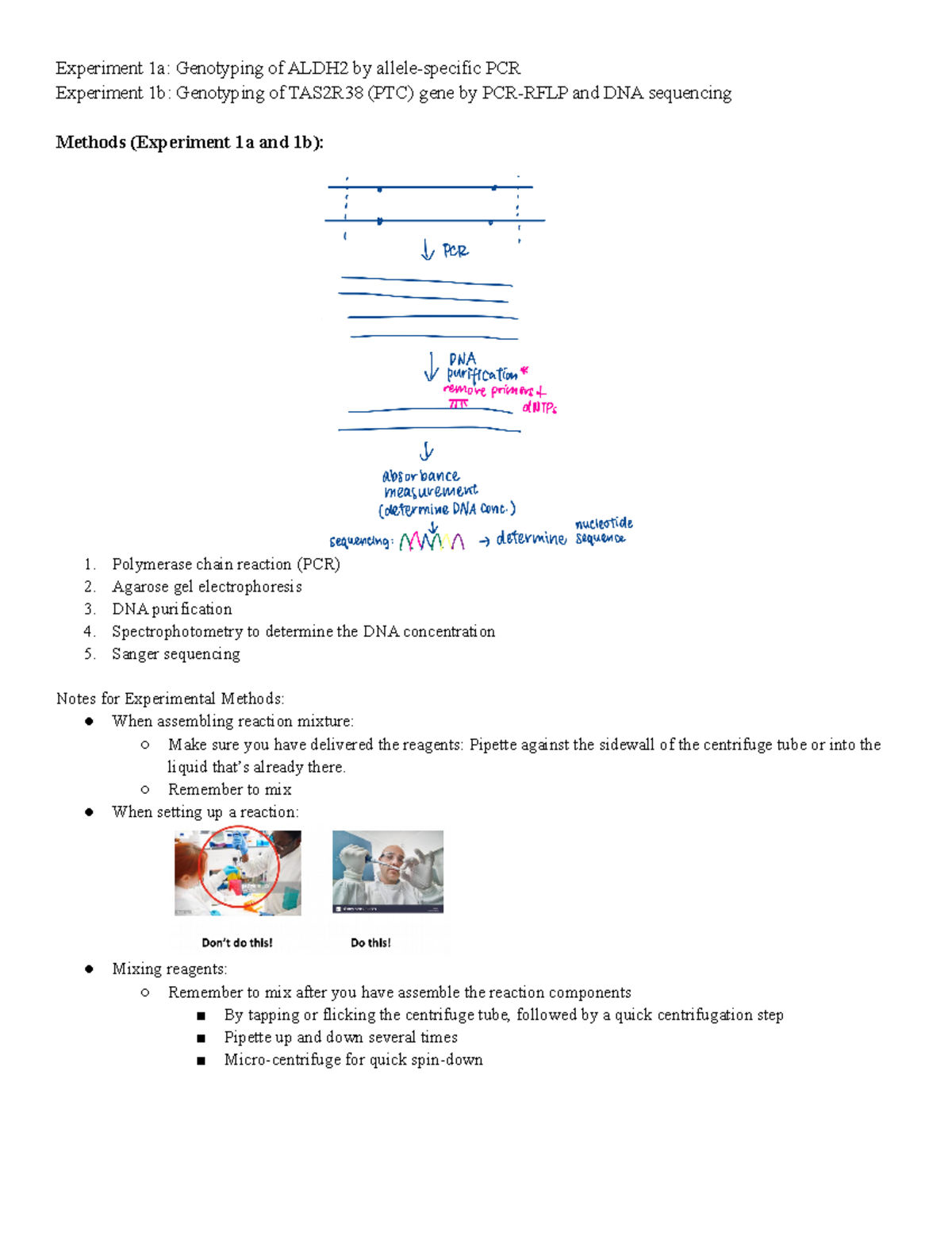 Experiment 1 Review - Experiment 1a: Genotyping of ALDH2 by allele ...