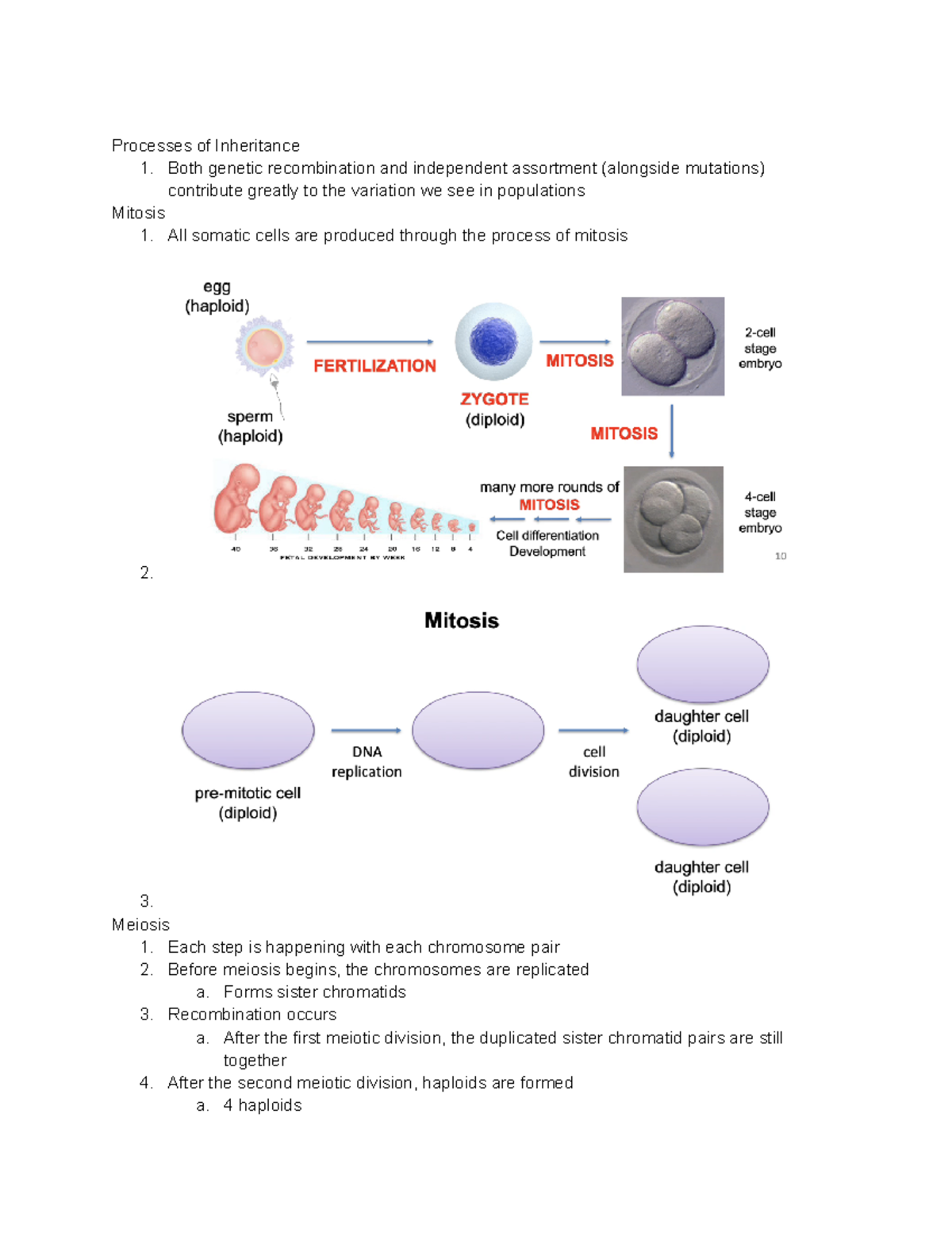 U2L5 - Lecture notes 8 - Processes of Inheritance 1. Both genetic ...