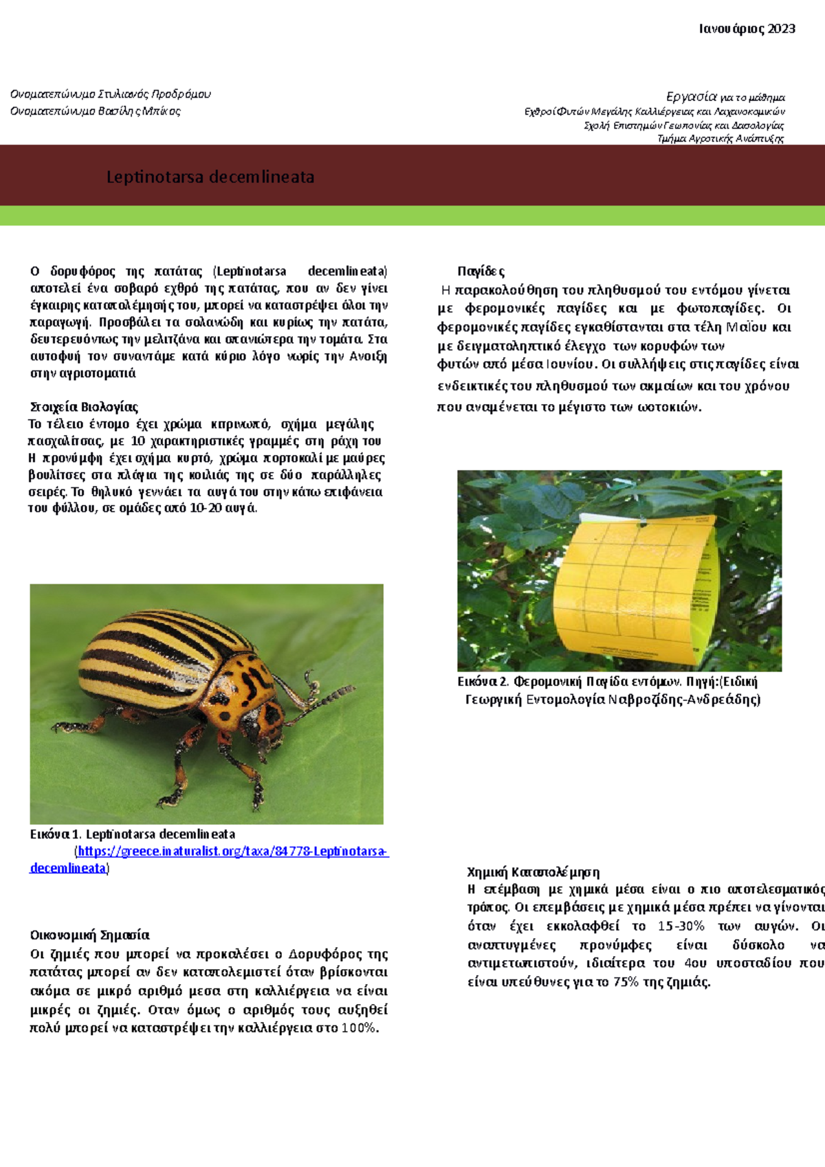 Τεχνικό δελτίο - φηξμ - Ιανουάριος 2023 Ονοματεπώνυμο Στυλιανός ...