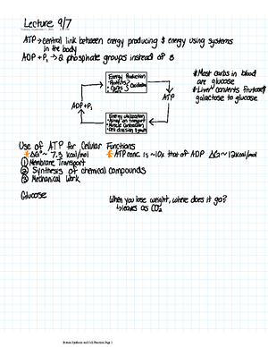 EBME 201 - notes - LECTURE 6 ebme201tas@case Precursor messenger RNA ...